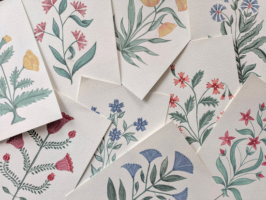 Studio – Suffolk Pink